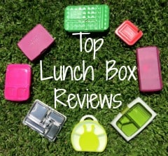 Top Lunch Box Reviews - Oh So Busy Mum