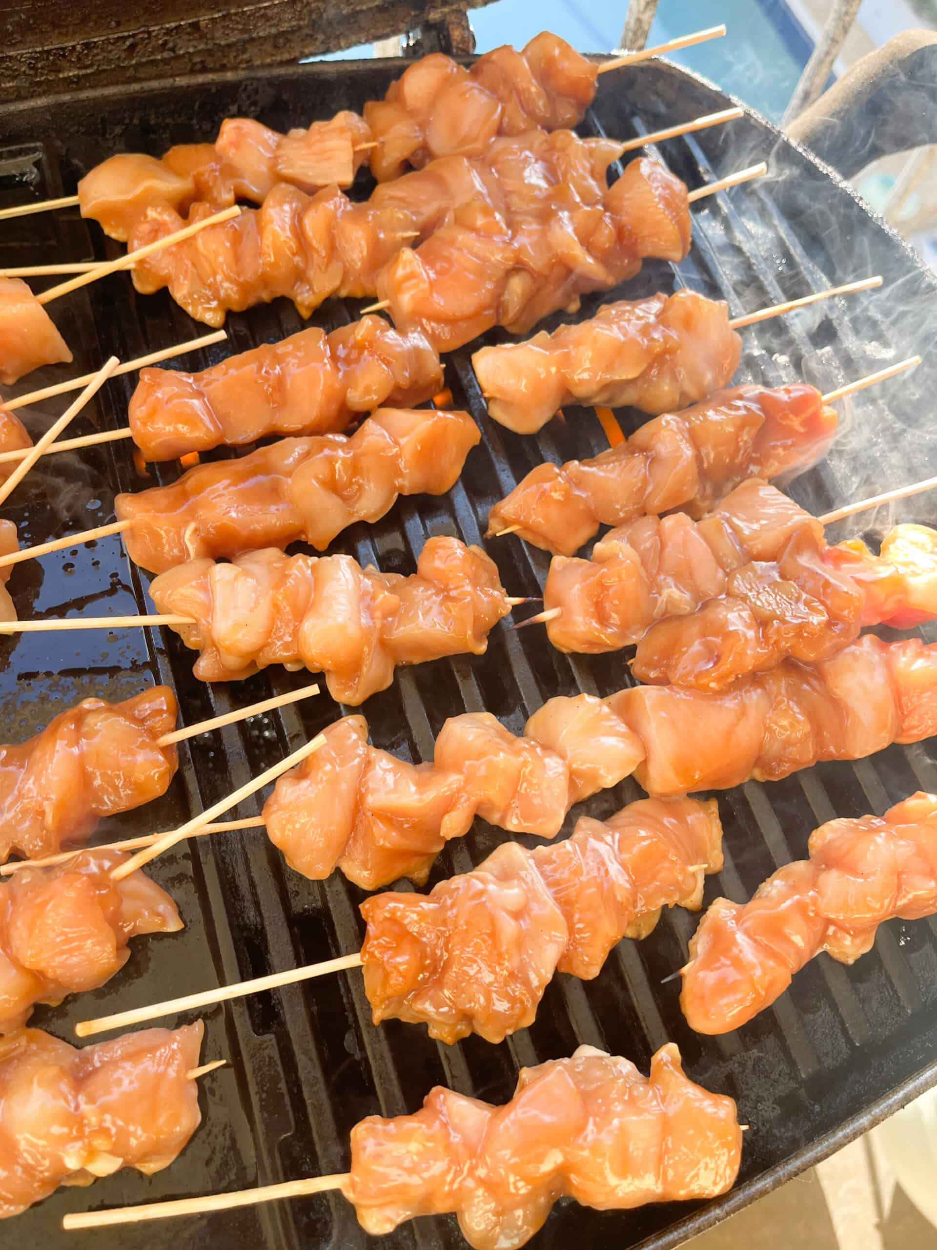 Chicken Satay Sticks with Peanut Dipping Sauce - Oh So Busy Mum