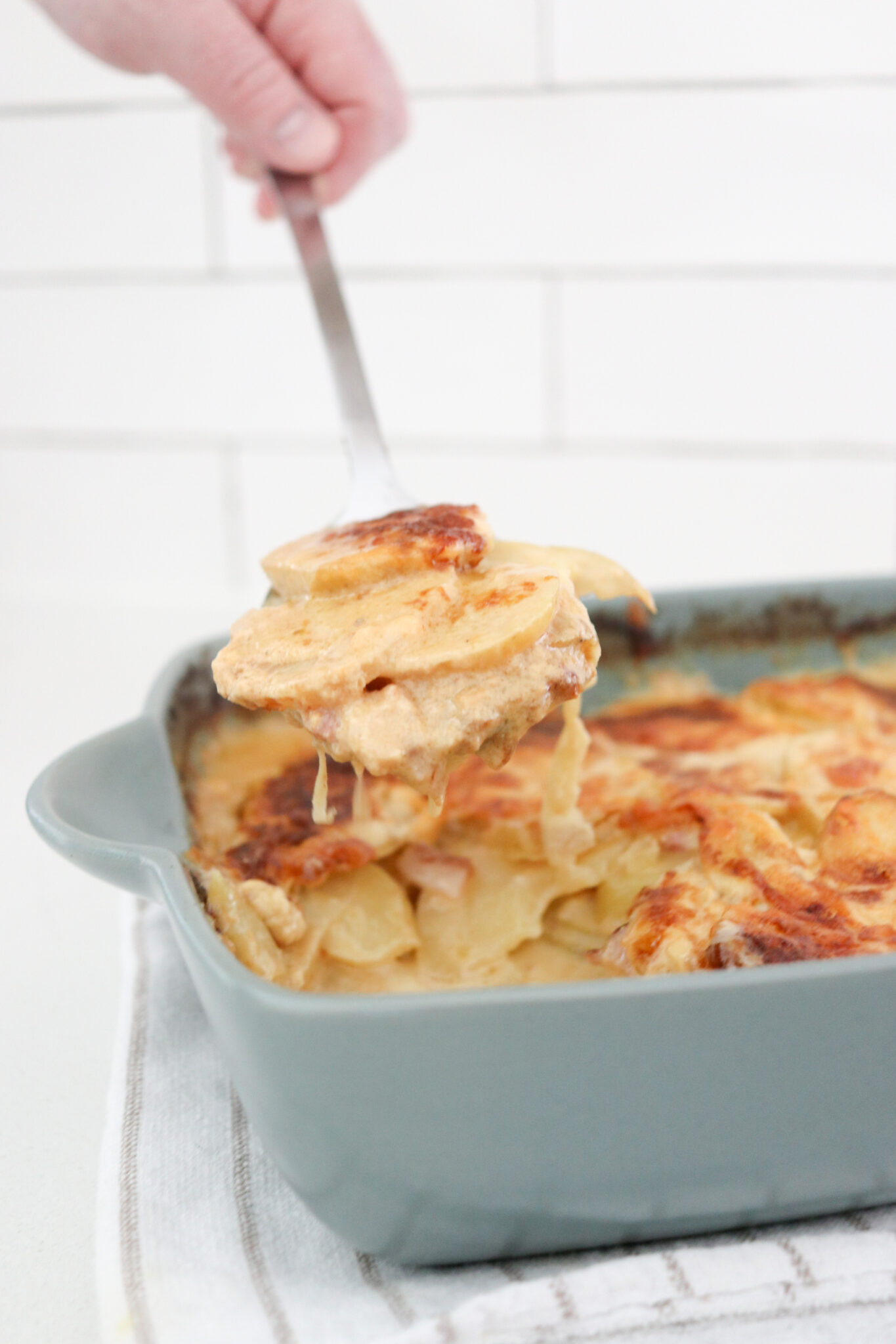 Easy Creamy Potato Bake - Oh So Busy Mum