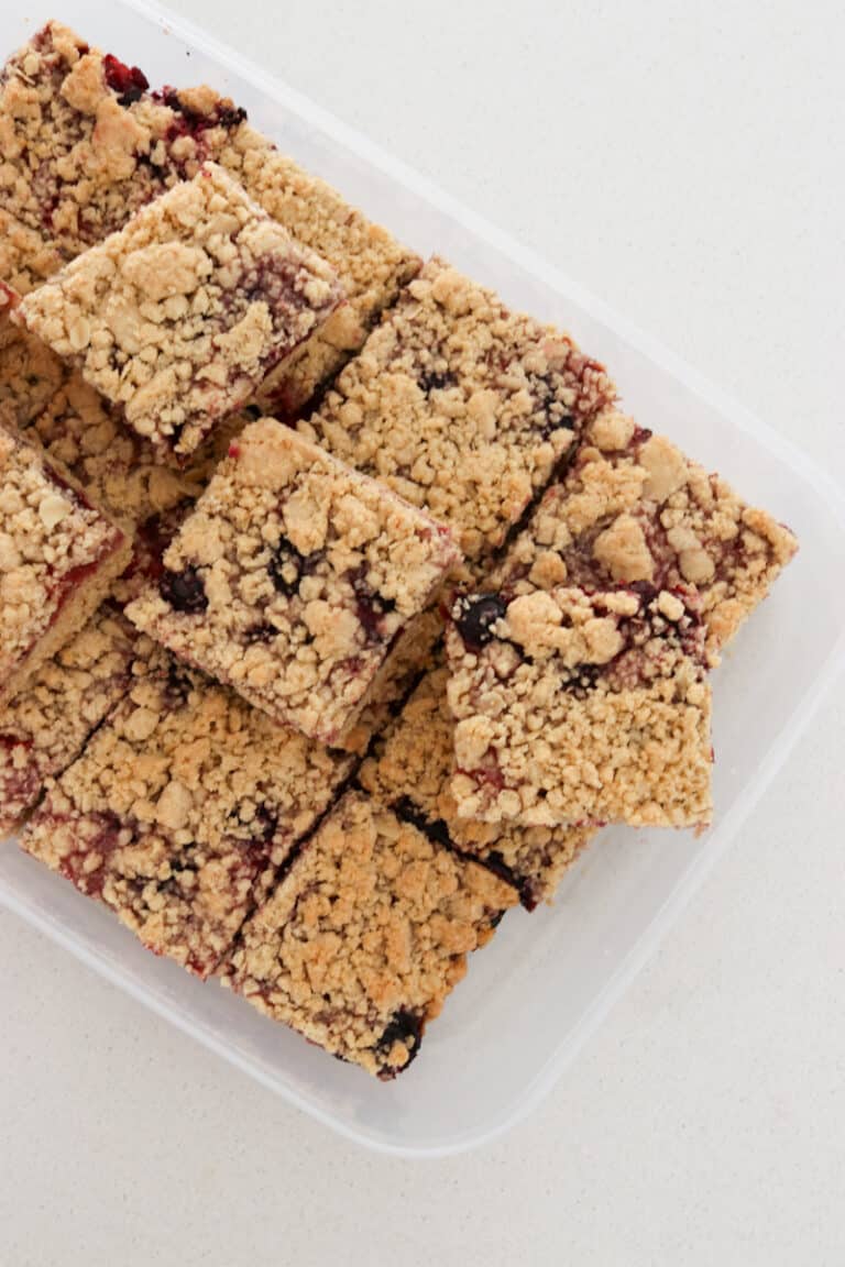 Berry Oat Slice - Oh So Busy Mum