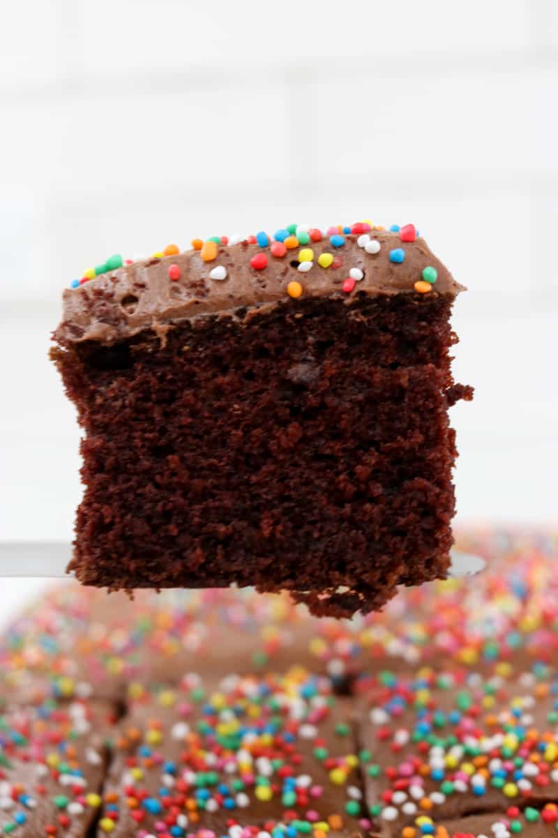 Easy Chocolate Tray Cake - Oh So Busy Mum