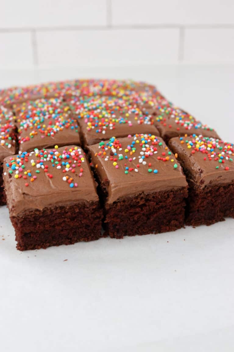 Easy Chocolate Tray Cake - Oh So Busy Mum