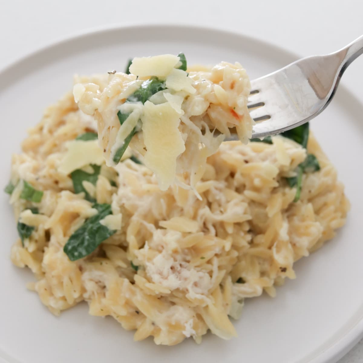 Lemon Chicken Risoni - Oh So Busy Mum